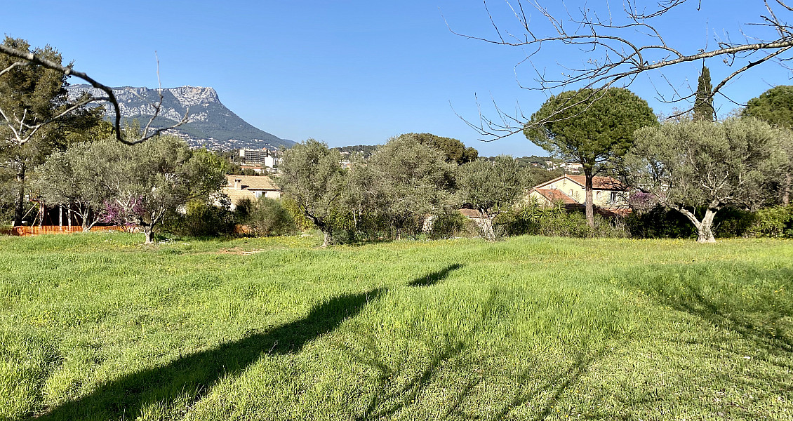 L'Orée du Cap à Toulon, la nature s'invite chez vous... - Toulon - Var ...